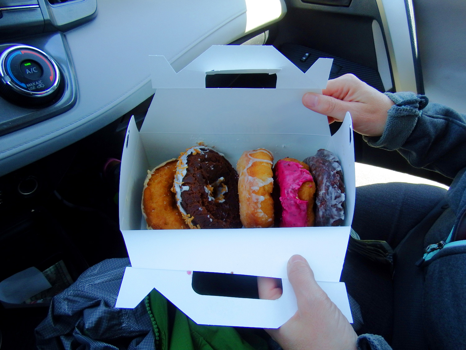 The Hole In The Doughnut | Popular Local Maine Donut Experiences ...