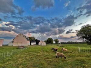 Amish Lifestyle In Maine - MeInMaine Blog