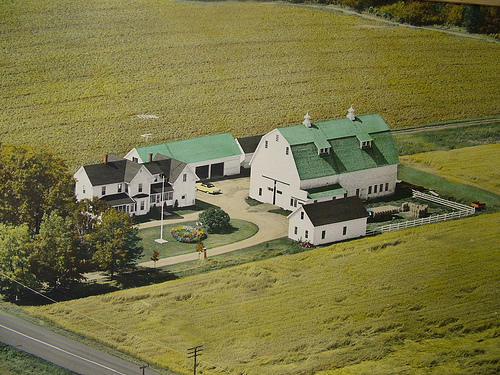 Things I Learned At 9 Years Old Selling Vegetables On A Maine Farm ...