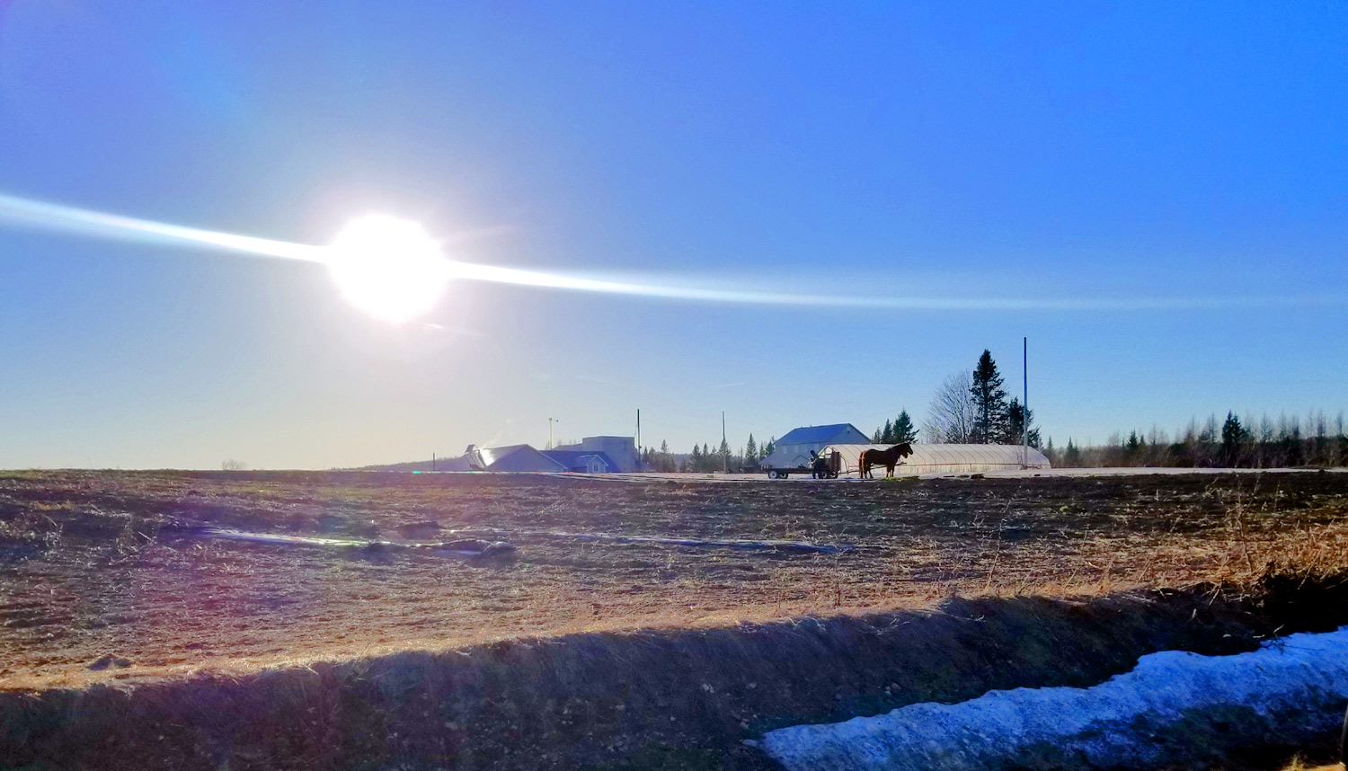 Small Town Living In Maine - MeInMaine Blog